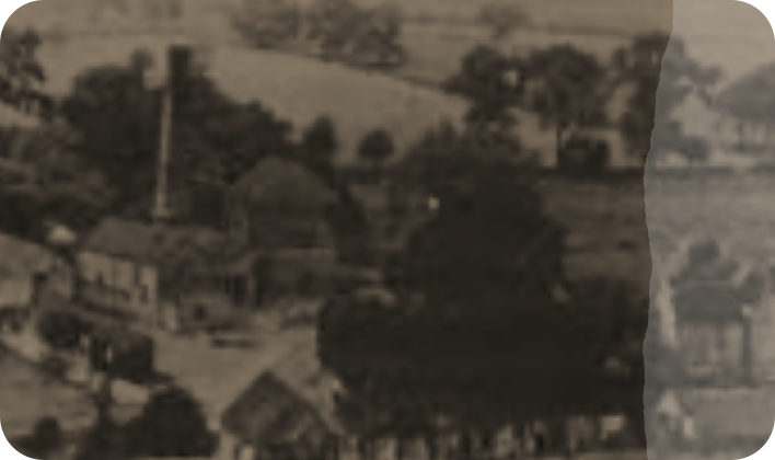 History - Viyella
