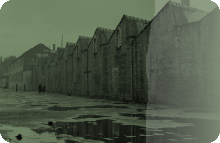 History - Viyella